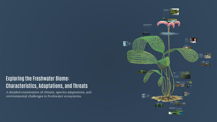 Exploring the Freshwater Biome: Characteristics, Adaptations, and ...