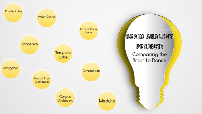 Brain Analogy Project by Anna Jourdan on Prezi