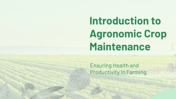 Introduction to Agronomic Crop Maintenance by jhen bantoc on Prezi