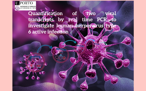Quantification of two viral transcripts by real time PCR to by Diana Lopes