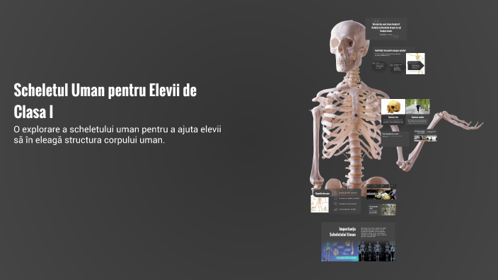 Scheletul Uman pentru Elevii de Clasa I by Alina-Roxana Balaban on Prezi