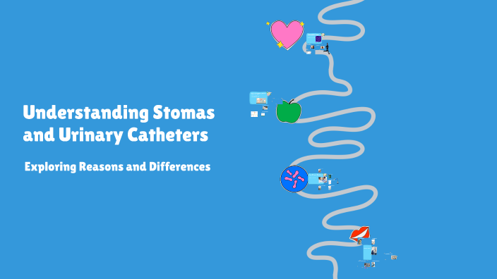 Understanding Stomas and Urinary Catheters by Aileen Boyd on Prezi