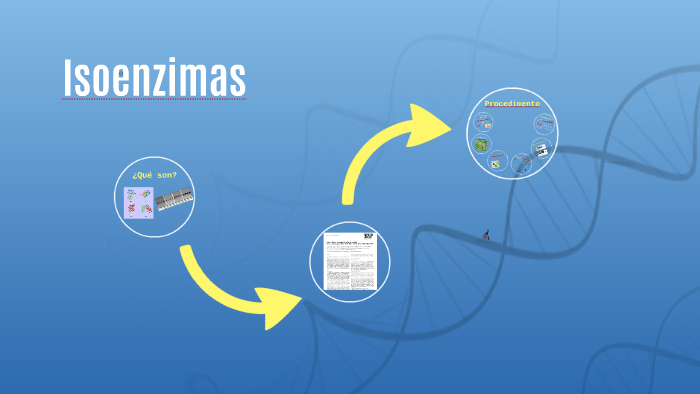 Isoenzimas by Sebastian Dop on Prezi
