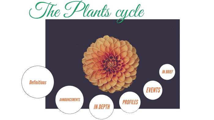 Photosynthesis cycle by jamila morris on Prezi
