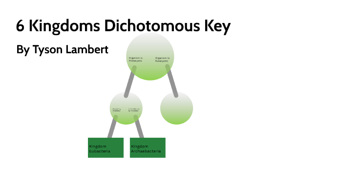 6 Kingdoms Dichotomous Key by Tyson Lambert on Prezi