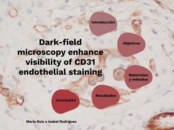 Micro by Isa Rodri on Prezi