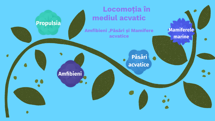 Locomoția în mediul acvatic Amfibieni ,Păsări și Mamifere acvatice by ...