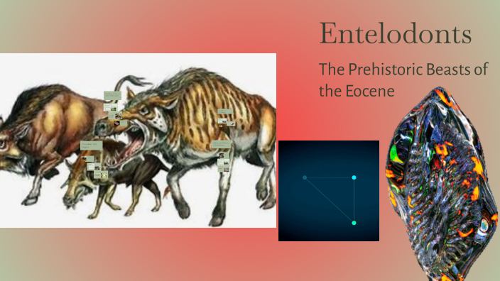 Entelodonts by Liam Mackinder on Prezi