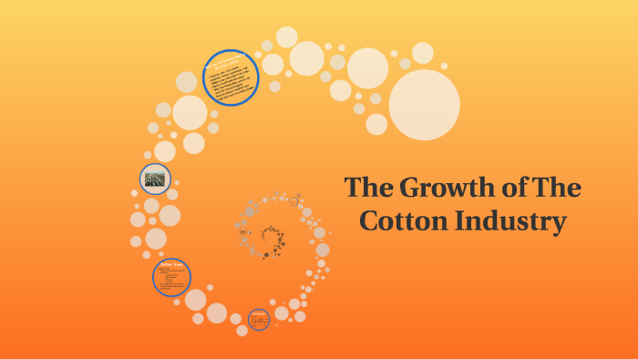The Growth of The Cotton Industry by Abbey McCormick on Prezi