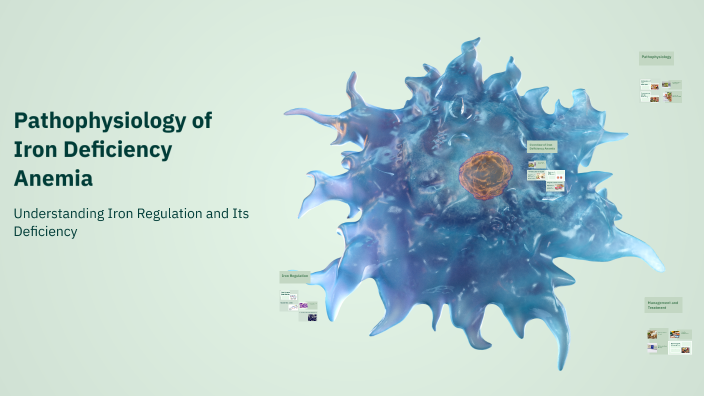 Pathophysiology of Iron Deficiency Anemia by Hello Atranye on Prezi