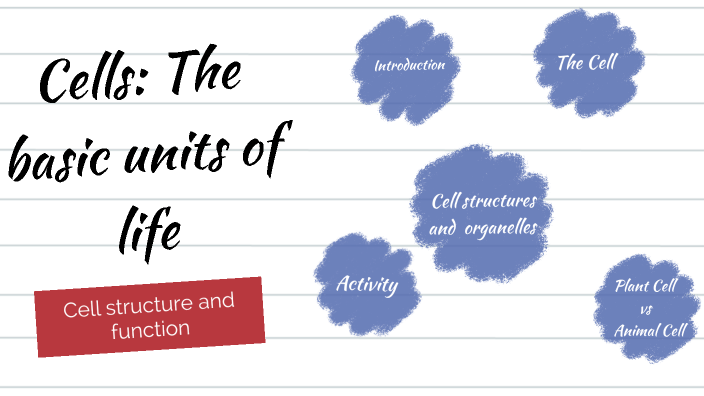 Grade 10 Life Science: Cells - The Basic Unit of Life by Anje Coetzee ...