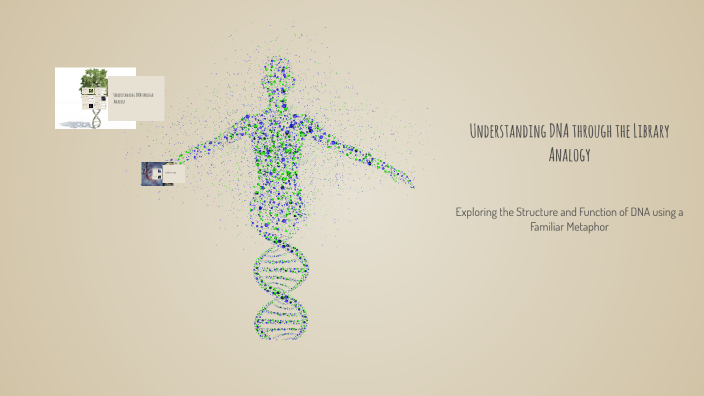 Understanding DNA through the Library Analogy by dahlia kandil on Prezi