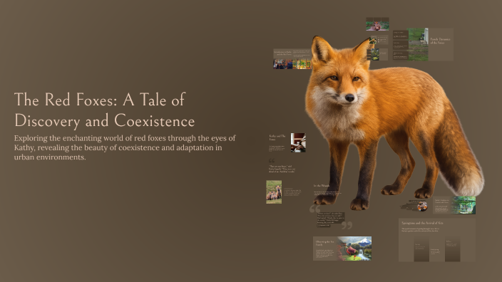 The Red Foxes: A Tale of Discovery and Coexistence by Hafshoh Jihan ...