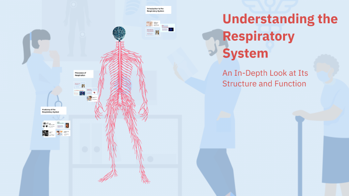 Understanding the Respiratory System by Firdaws Garde on Prezi
