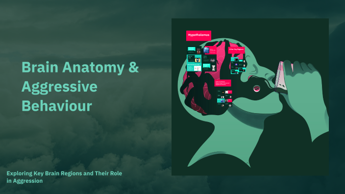 How Brain Anatomy Affects Aggressive Behaviour by VRP on Prezi