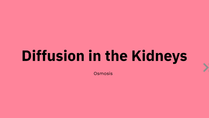 Diffusion in the Kidneys by Amelia Glenn on Prezi