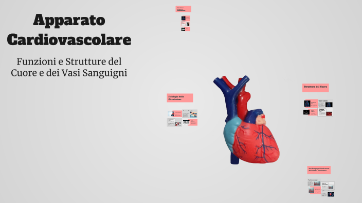 Apparato Cardiovascolare by Filippo Scibetta on Prezi