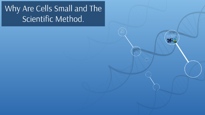 Why are cells small and The Scientific Method. by Cameron Telford on Prezi