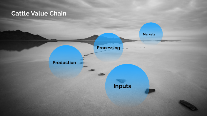 Cattle Value Chain by Charlynne Jepkosgei on Prezi