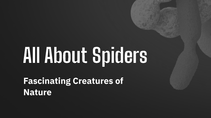 All About Spiders by pop tudor on Prezi