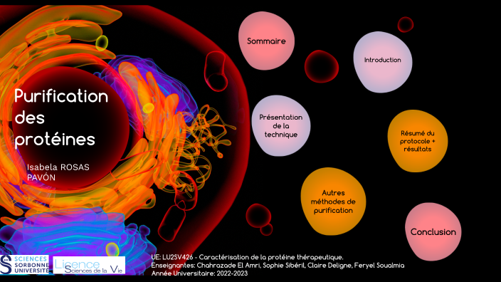 Purification des protéines by Isabela Rosas on Prezi