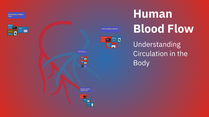 Human Blood Flow by Auksė Birgerytė on Prezi