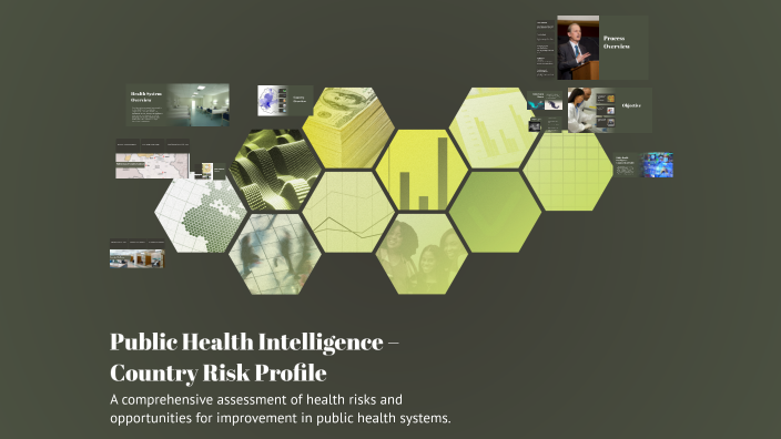 Public Health Intelligence – Country Risk Profile by Manishal.com ...