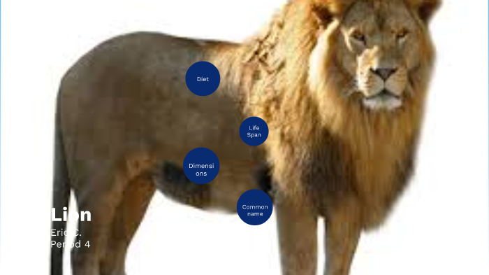 Lion by Eric C. on Prezi
