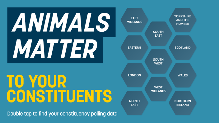 Animals Matter by Flo Thomas on Prezi