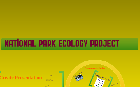 National Park Food Web Project by David Chimo on Prezi
