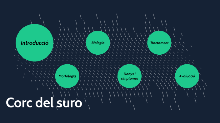Corc del suro by Adrià Duaigües Arrabal on Prezi