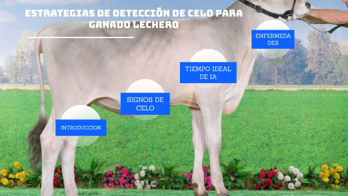 Estrategias de Detección de Celo para Ganado Lechero by Geremias Ojeda Huamán on Prezi