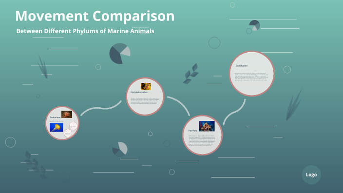 Movement Comparison by Jaxon Allen on Prezi