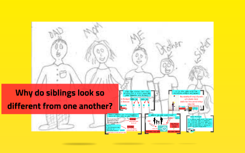 Why do siblings look so different from one aother? by Mrs. Bowen on Prezi