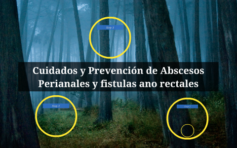 Cuidados y Prevención de Abscesos Perianales y fistulas ano by John ...