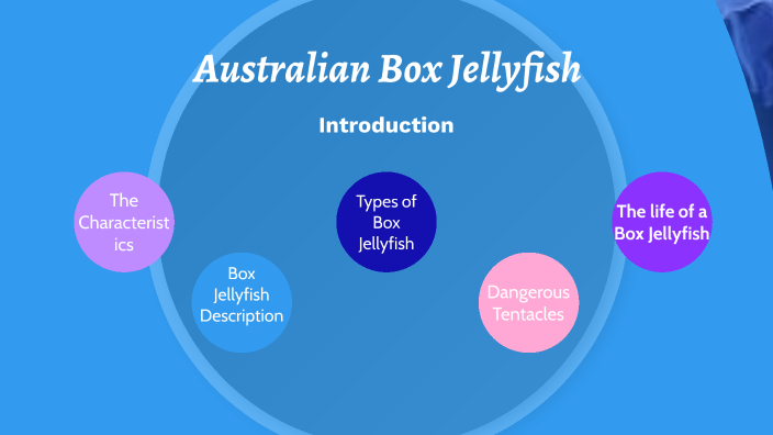Australian Box Jellyfish by Angelina da Silva on Prezi