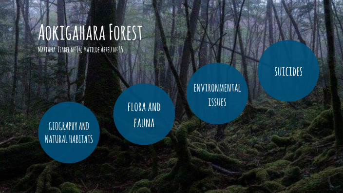 The Aokigahara Forest by Matilde Abreu on Prezi