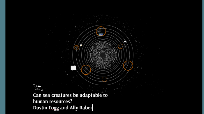 Can sea creatures be adaptable to human resources? by Ally Raber on Prezi
