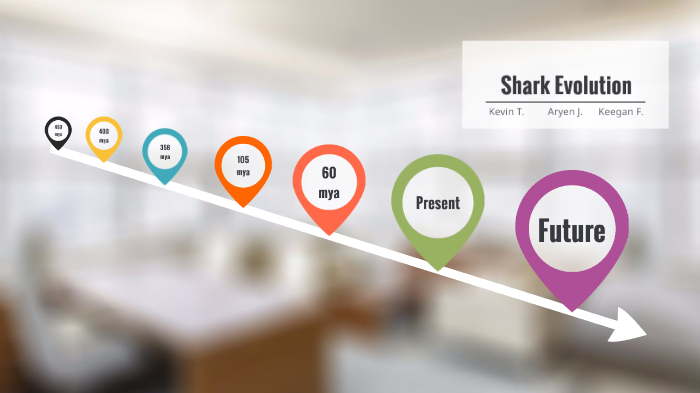 Shark Evolution Timeline by Kevin Tawadros on Prezi