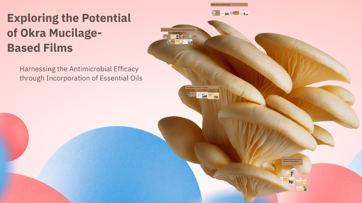 Exploring the Potential of Okra Mucilage-Based Films by Ekhlas Alkharusi on Prezi
