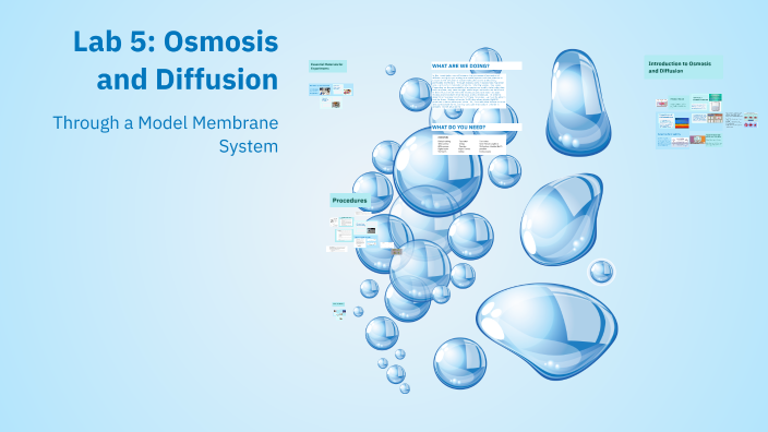 Lab 5: Osmosis and Diffusion by on Prezi