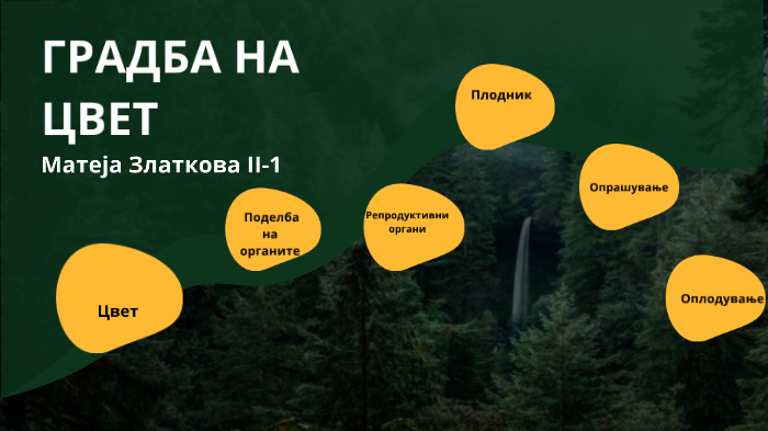 GRADBA NA CVET by Mateja Zlatkova on Prezi