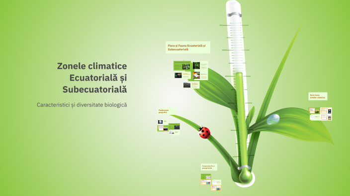 Zonele climatice Ecuatorială și Subecuatorială by Adrian Vacarciuc on Prezi