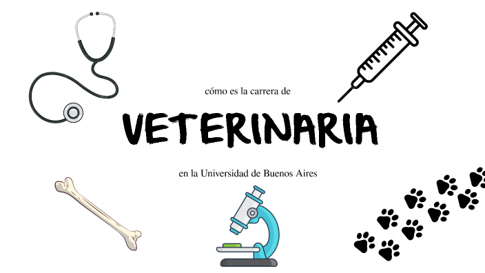 La carrera de Veterinaria en UBA - Camila Aylén Rivero by Camila Rivero ...