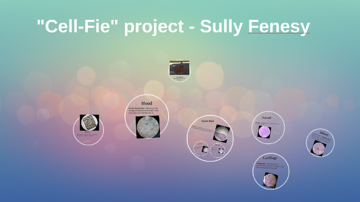 Cell-fie project - Sully Fenesy P.4 by Sully Fenesy on Prezi