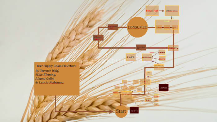 Beer Supply Chain Flowchart by Leticia Rodriguez