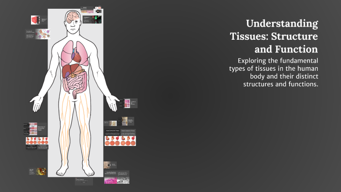 Understanding Tissues: Structure and Function by REX VENTURA on Prezi