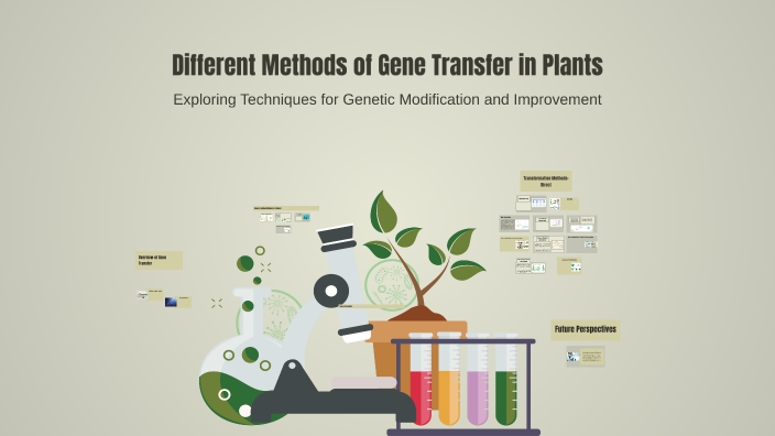 Different Methods of Gene Transfer in Plants by H V on Prezi