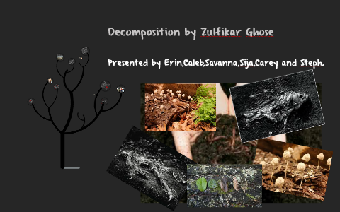 Decoposition by Zulfikar Ghose by on Prezi
