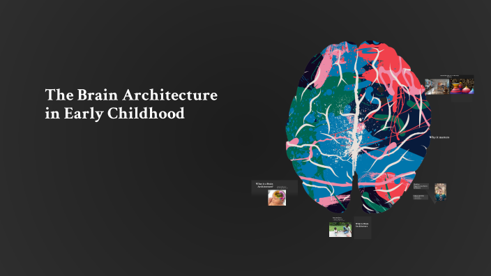 The Brain Architecture in Early Childhood by sarah duncan on Prezi